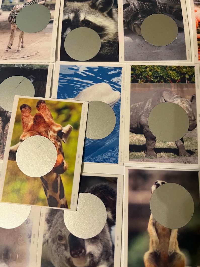 Zoo Part 2 Mini Scratch off Card Set of 16 Zoo Animals Fun Money Saving ...