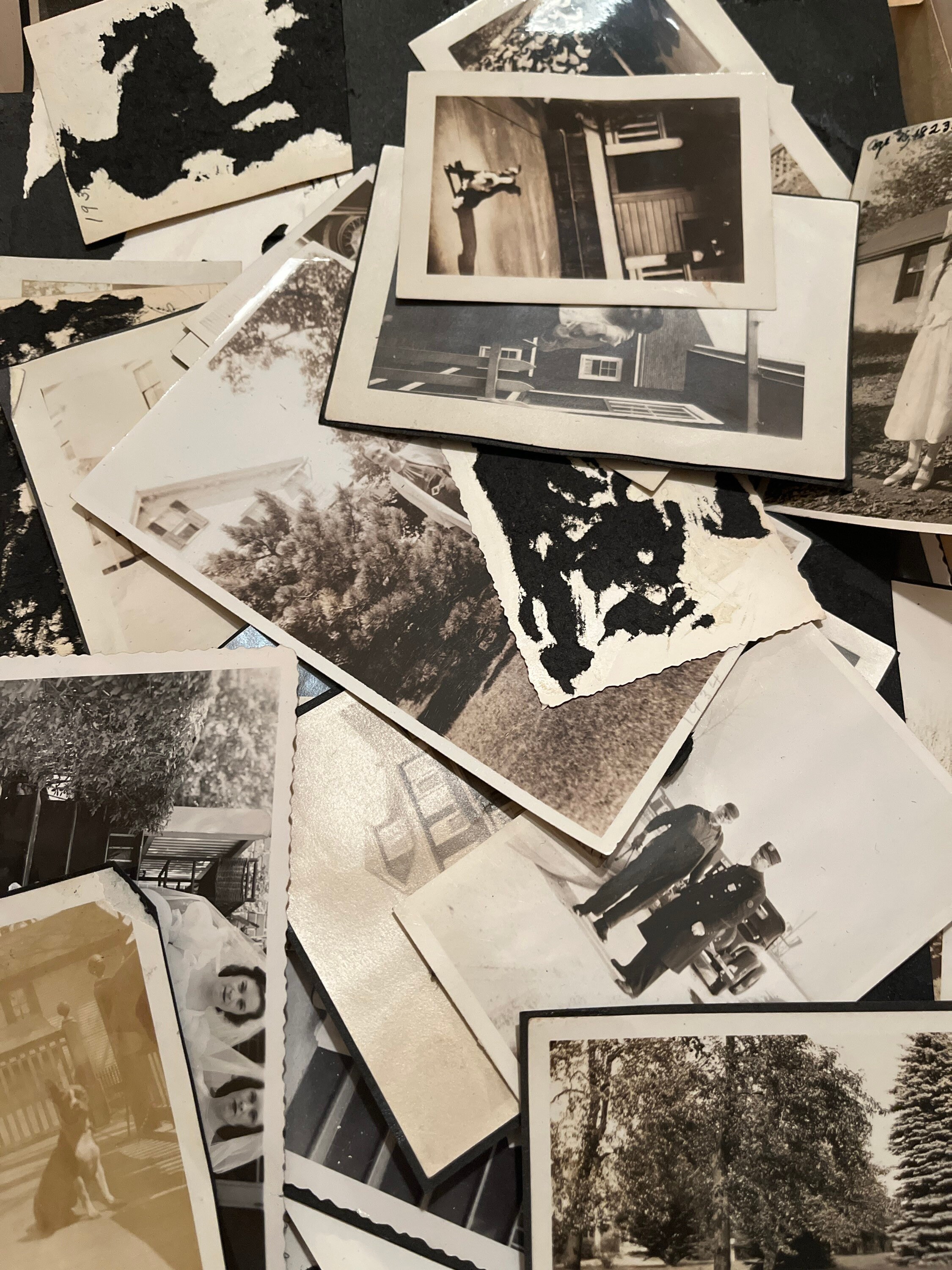 Old Photos Grab Bag Mystery Set of 12 Pictures Vintage Antique - Etsy