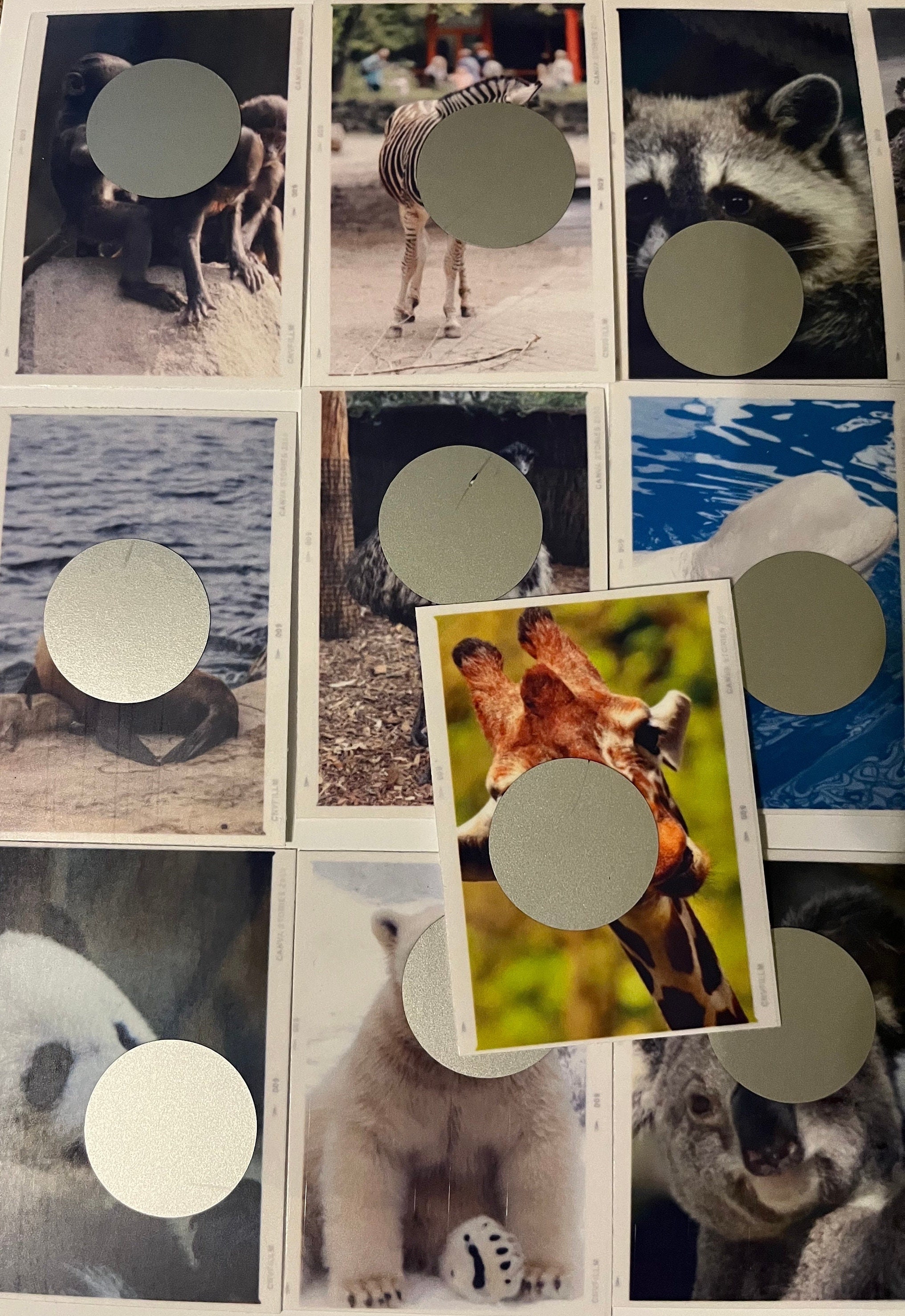 Zoo Part 2 Mini Scratch off Card Set of 16 Zoo Animals Fun Money Saving ...