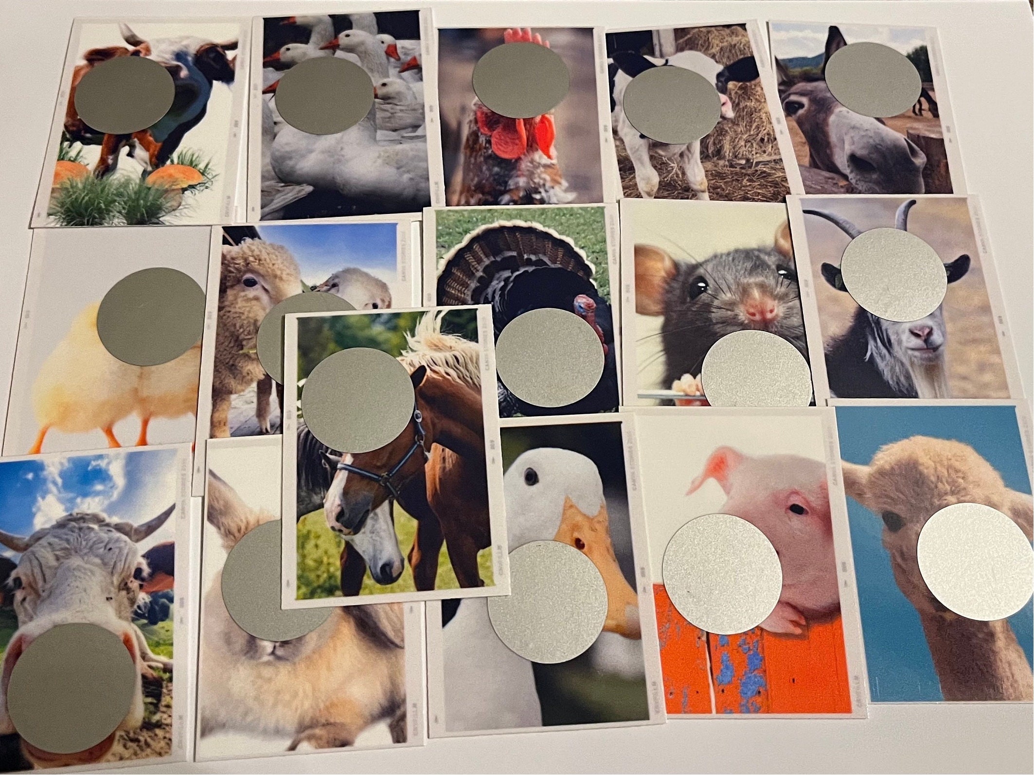 Mini Scratch off Card Set of 16 - Animals on the Farm - Fun Money ...
