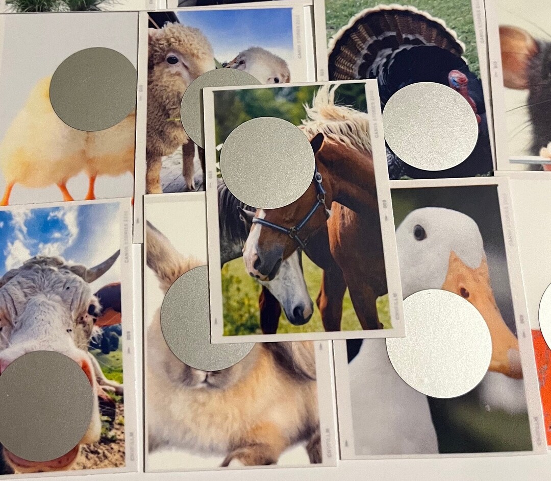Mini Scratch off Card Set of 16 - Animals on the Farm - Fun Money ...
