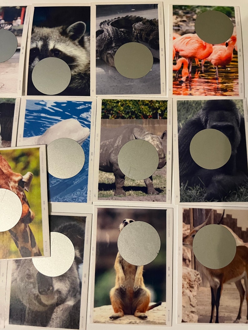 Zoo Part 2 Mini Scratch off Card Set of 16 Zoo Animals Fun Money Saving ...