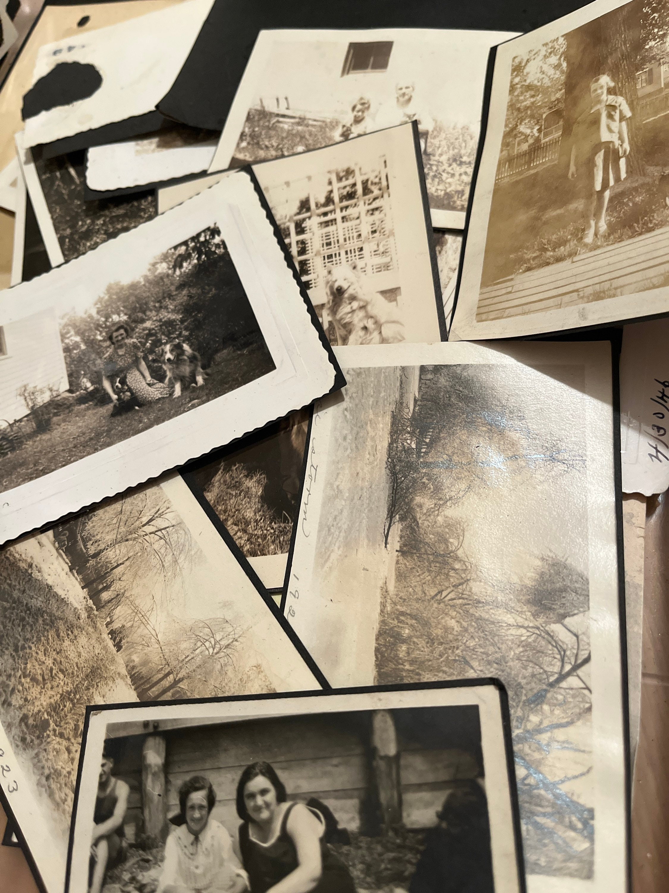 Old Photos Grab Bag Mystery Set of 12 Pictures Vintage Antique - Etsy