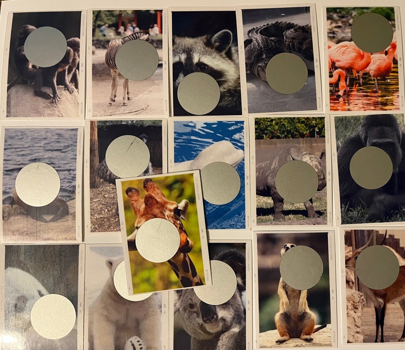 Zoo Part 2 Mini Scratch off Card Set of 16 Zoo Animals Fun Money Saving ...