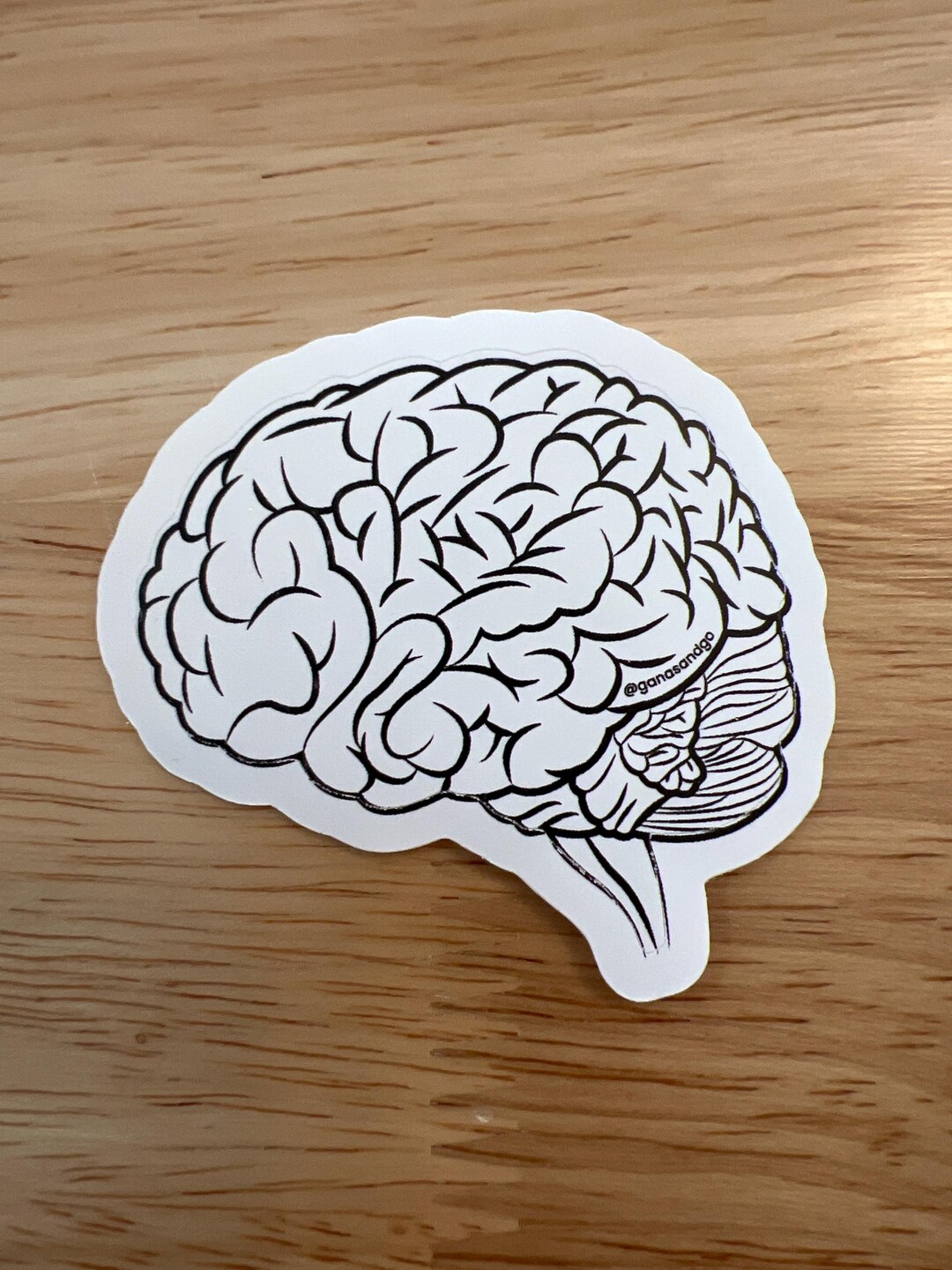Bundle: EPPP Sticker | EPPP Brain Sticker | Anatomical Brain Sticker ...