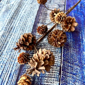 Pinecone Pick, Pinecone Stem for Fall, Christmas Pinecone Spray, Wreath ...
