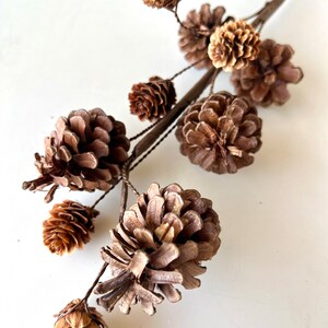 Pinecone Pick, Pinecone Stem for Fall, Christmas Pinecone Spray, Wreath ...