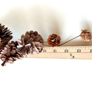 Pinecone Pick, Pinecone Stem for Fall, Christmas Pinecone Spray, Wreath ...