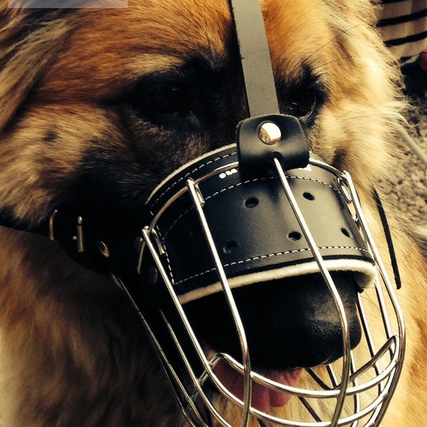 Human Muzzle Cage - Etsy