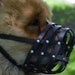 Leather Dog Muzzle Chow Chow & Other Similar Snouts - Etsy UK