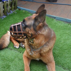 Leather Dog Muzzle German Shepherd and Other Similar Snout - Etsy