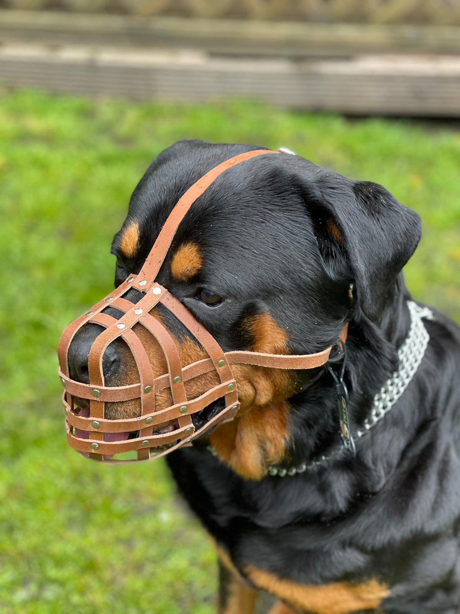 Leather Dog Muzzle for Rottweiler mastiff and Other Similar - Etsy