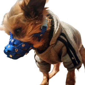 Nylon Dog Muzzle for Yorkshire Terrier, Mini Pincher, Chihuahua and ...
