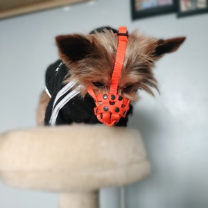Nylon Dog Muzzle for Yorkshire Terrier, Mini Pincher, Chihuahua and ...