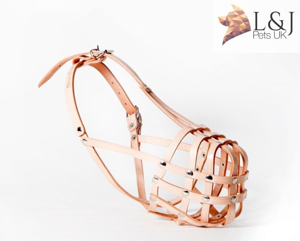 Leather Dog Muzzle Chow Chow & Other Similar Snouts - Etsy UK