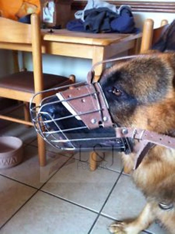 Strong Metal Wire Basket Dog Muzzle for Shepherd Labrador - Etsy UK
