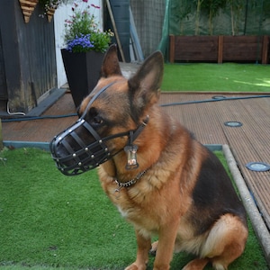 Leather Dog Muzzle German Shepherd and Other Similar Snout - Etsy