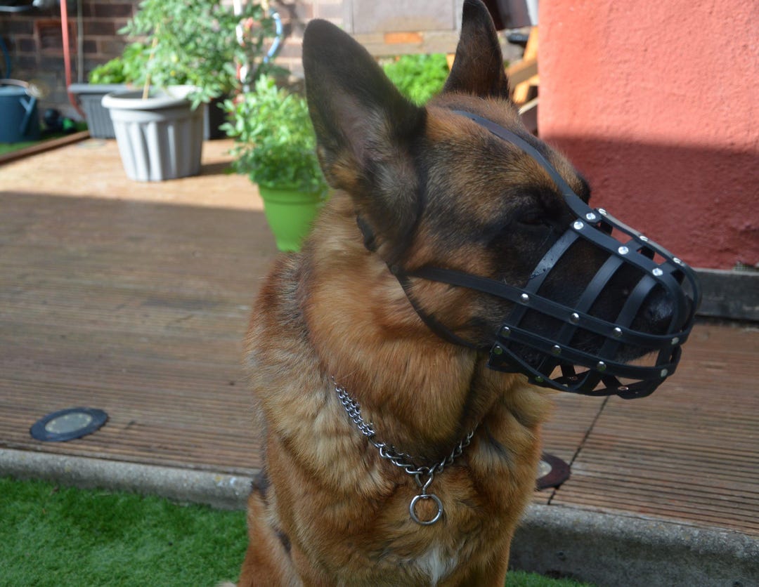 Leather Dog Muzzle German Shepherd and Other Similar Snout - Etsy