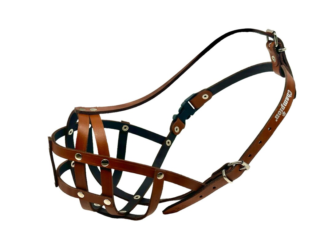 Leather Dog Muzzle Chow Chow & Other Similar Snouts - Etsy