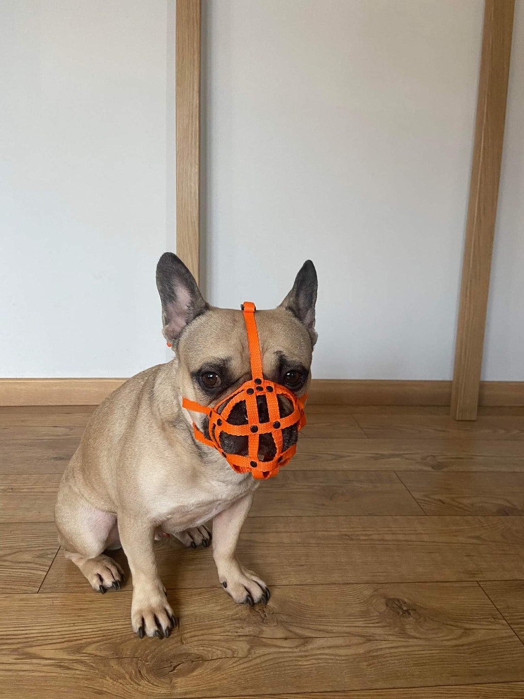 Dog Muzzle for French Bulldog "frenchies" a Other Similar Snouts Short ...