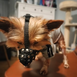 Nylon Dog Muzzle for Yorkshire Terrier, Mini Pincher, Chihuahua and ...