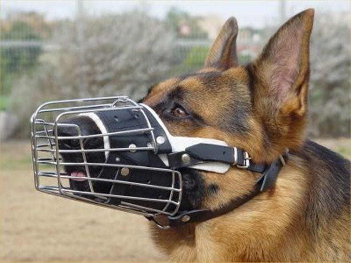 Rottweiler, Mastiff K9 Training Muzzle | Strong Metal and Comfotable ...