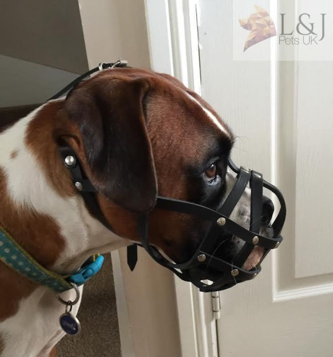 Leather Dog Muzzle for Boxer and Other Dogs With Short Snout - Etsy