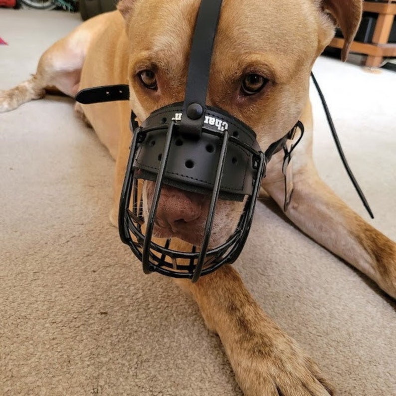 Strong Metal Wire Basket Dog Muzzle Amstaff Pit Bull - Etsy UK