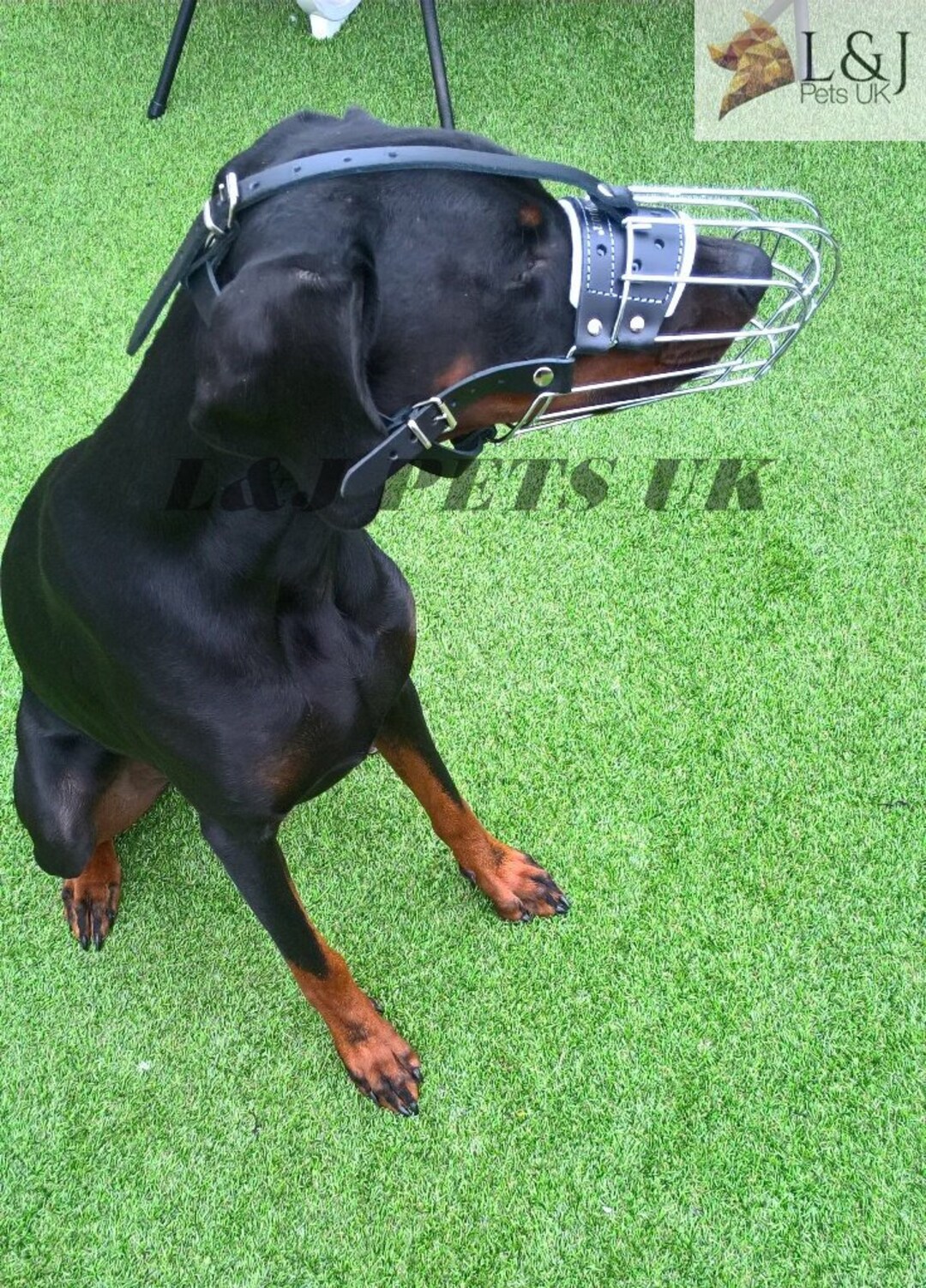 Strong Metal Wire Basket Dog Muzzle for Doberman , Malinois and Other ...
