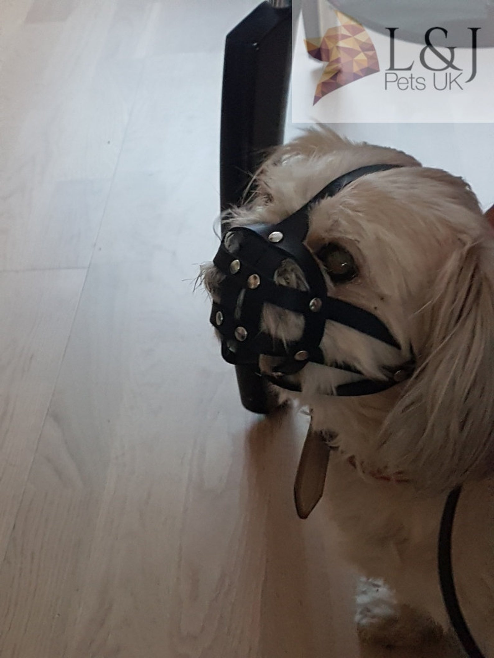 Leather Dog Muzzle for Pug and Other Flat Face Faced Short - Etsy