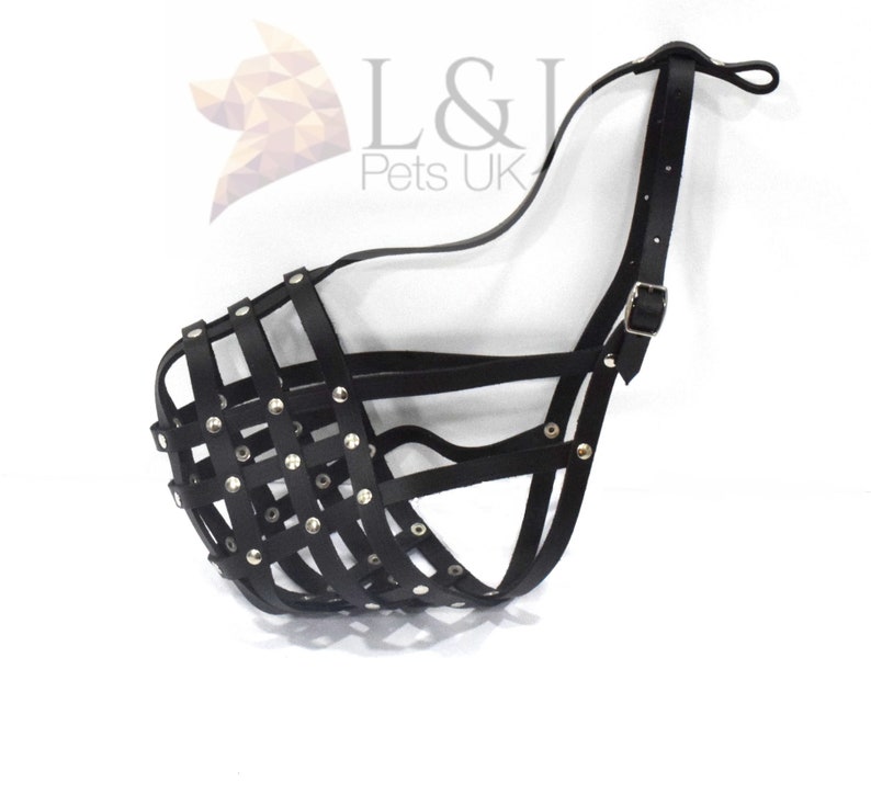 Light Leather Dog Muzzle for Shar Pei and Other Similar Snouts - Etsy