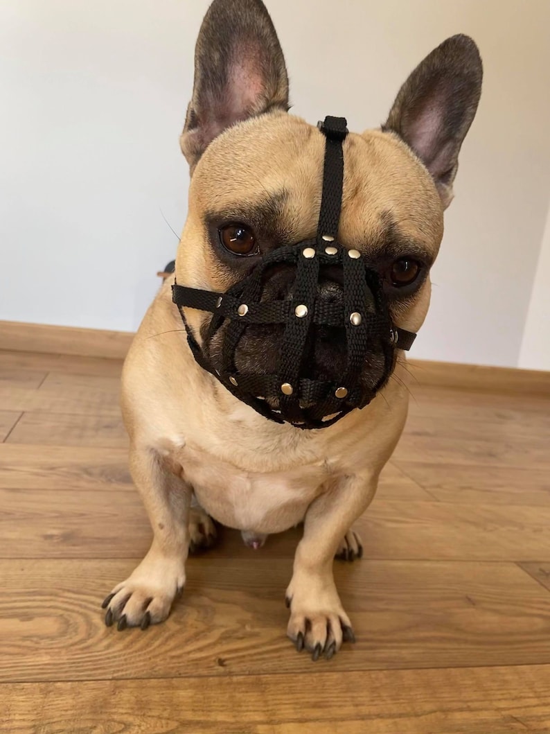 Dog Muzzle for French Bulldog "frenchies" a Other Similar Snouts Short ...