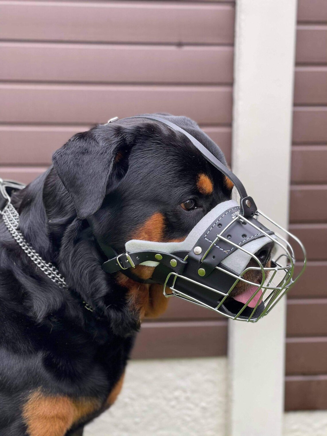 Rottweiler, Mastiff K9 Training Muzzle | Strong Metal and Comfotable ...