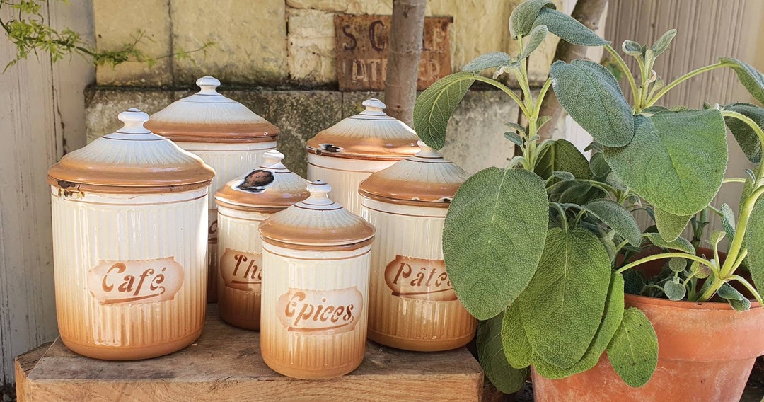 Exceptional Rare Set of 6 Beautiful Brown / Tan and White Antique ...