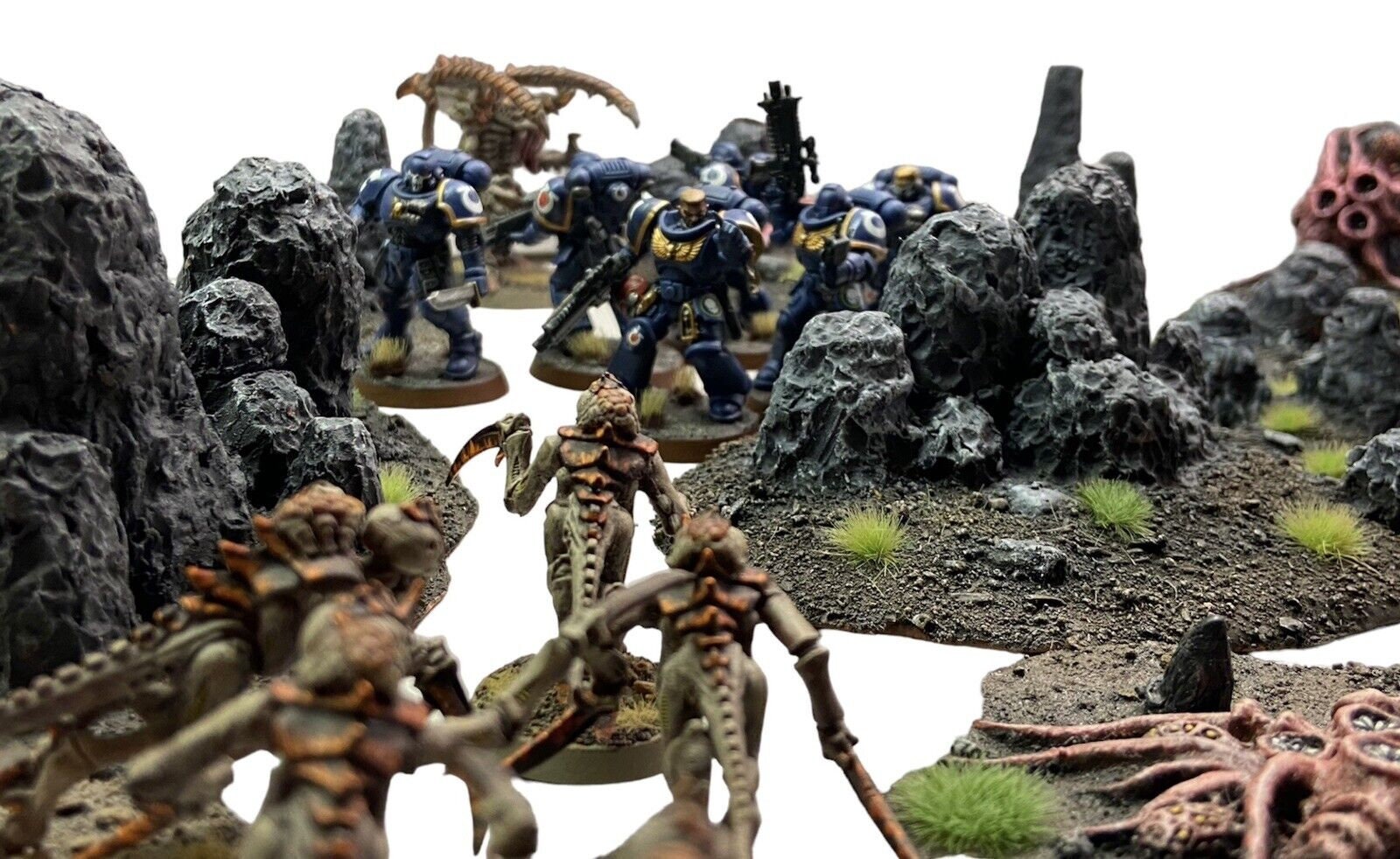 Large Tyranid Army/ Battlefield Terrain Painted Set Custom - Etsy