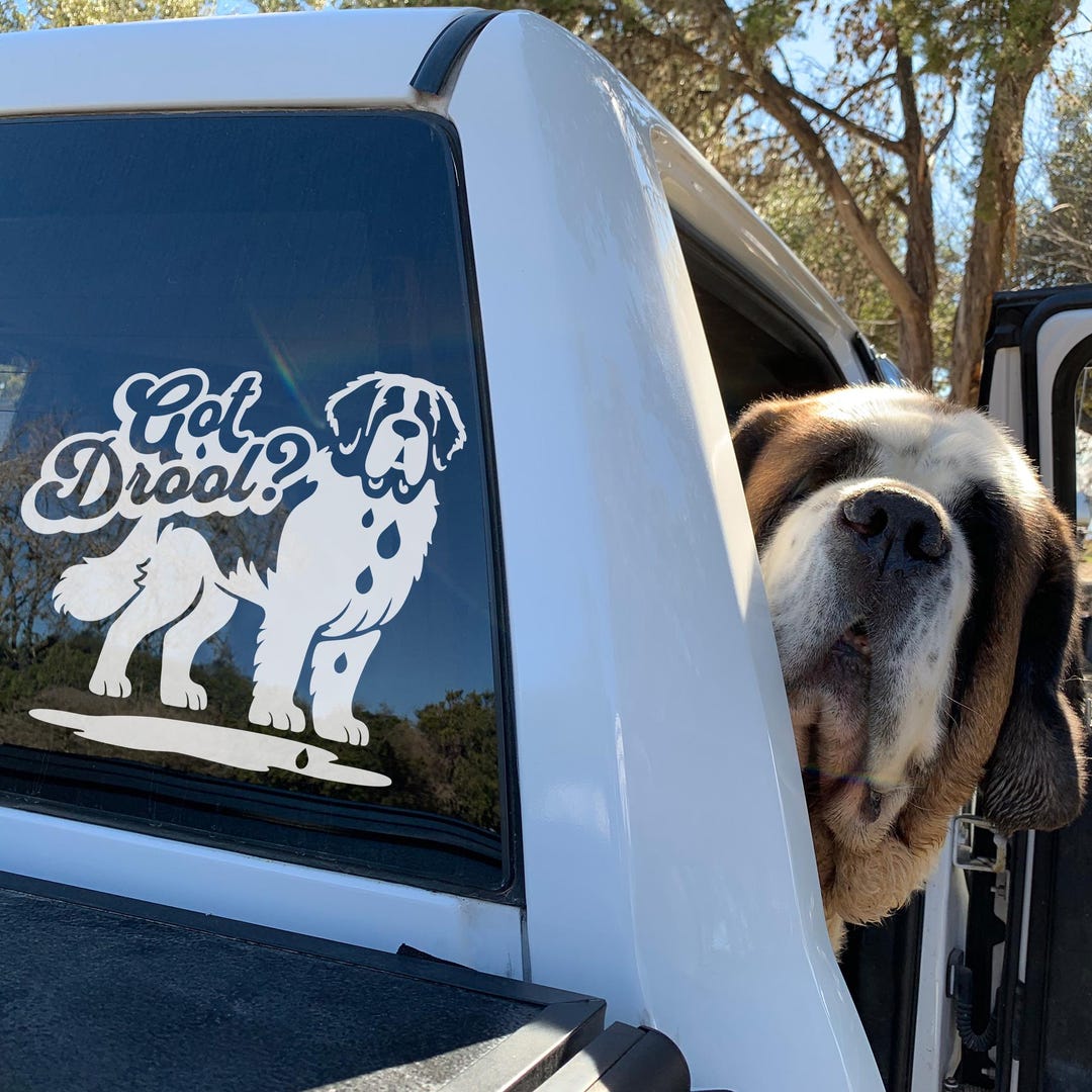 Saint Bernard Dog Decal: "got Drool?" Weatherproof Dog Vinyl Car/truck ...
