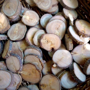 Wood Slices for Crafts, Lot 10/20 Pieces, Tree Branch Slices With Knots ...