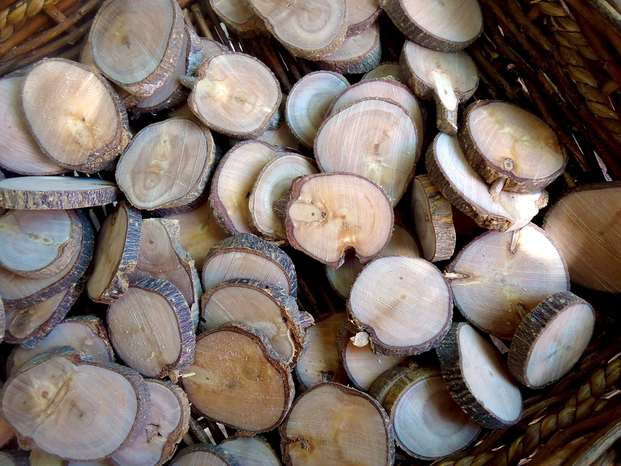 Wood Slices for Crafts Lot 10/20 Pieces Tree Branch Slices | Etsy