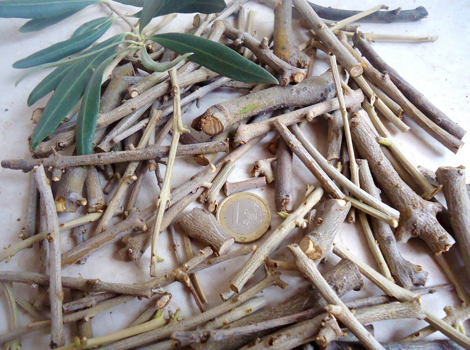 Craft Stick Pieces 100 Pcs Olive Wood Twig Pieces Bulk - Etsy