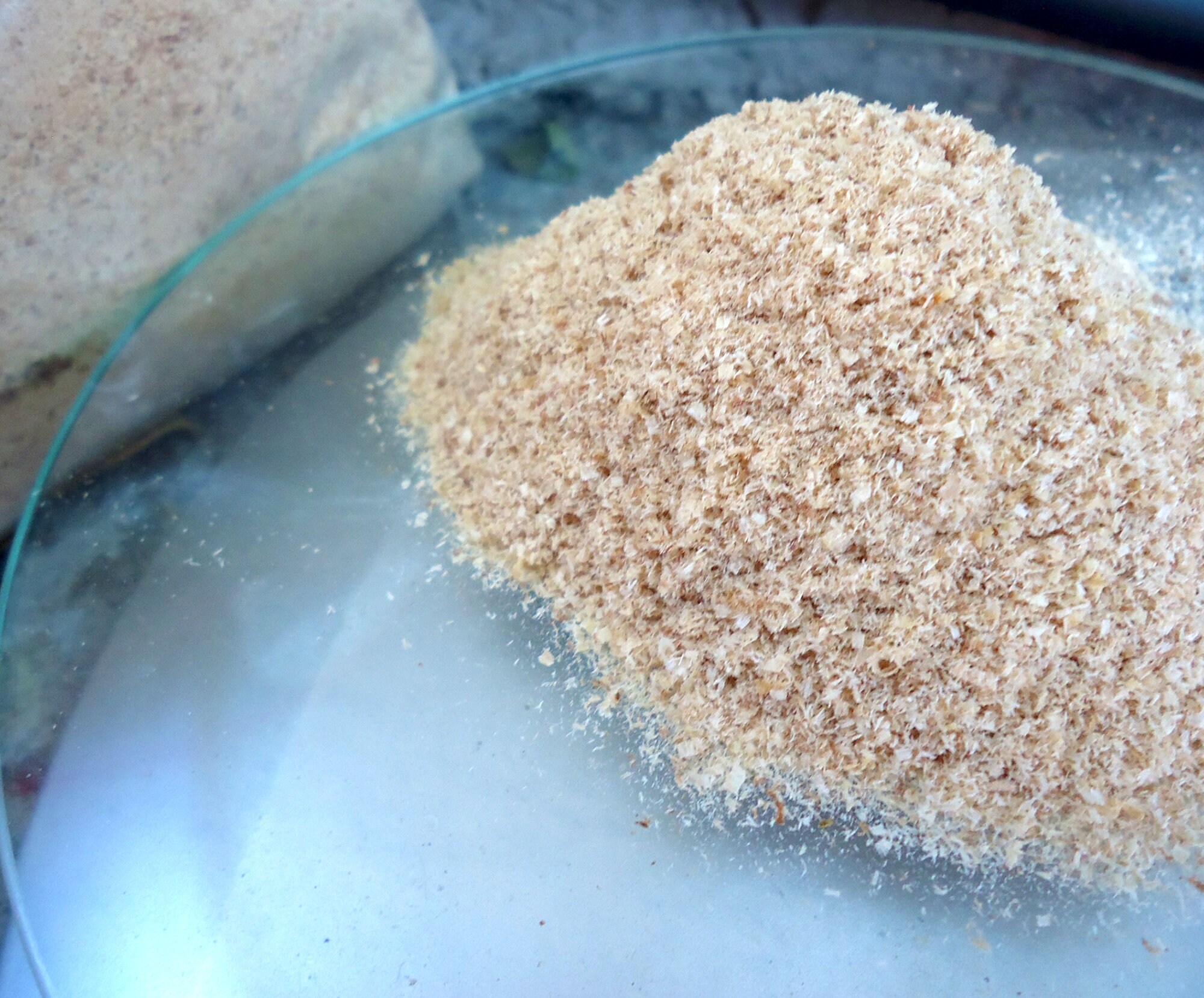 Sawdust Fine Olive Wood Clean Sawdust Dry Wood Sawdust - Etsy