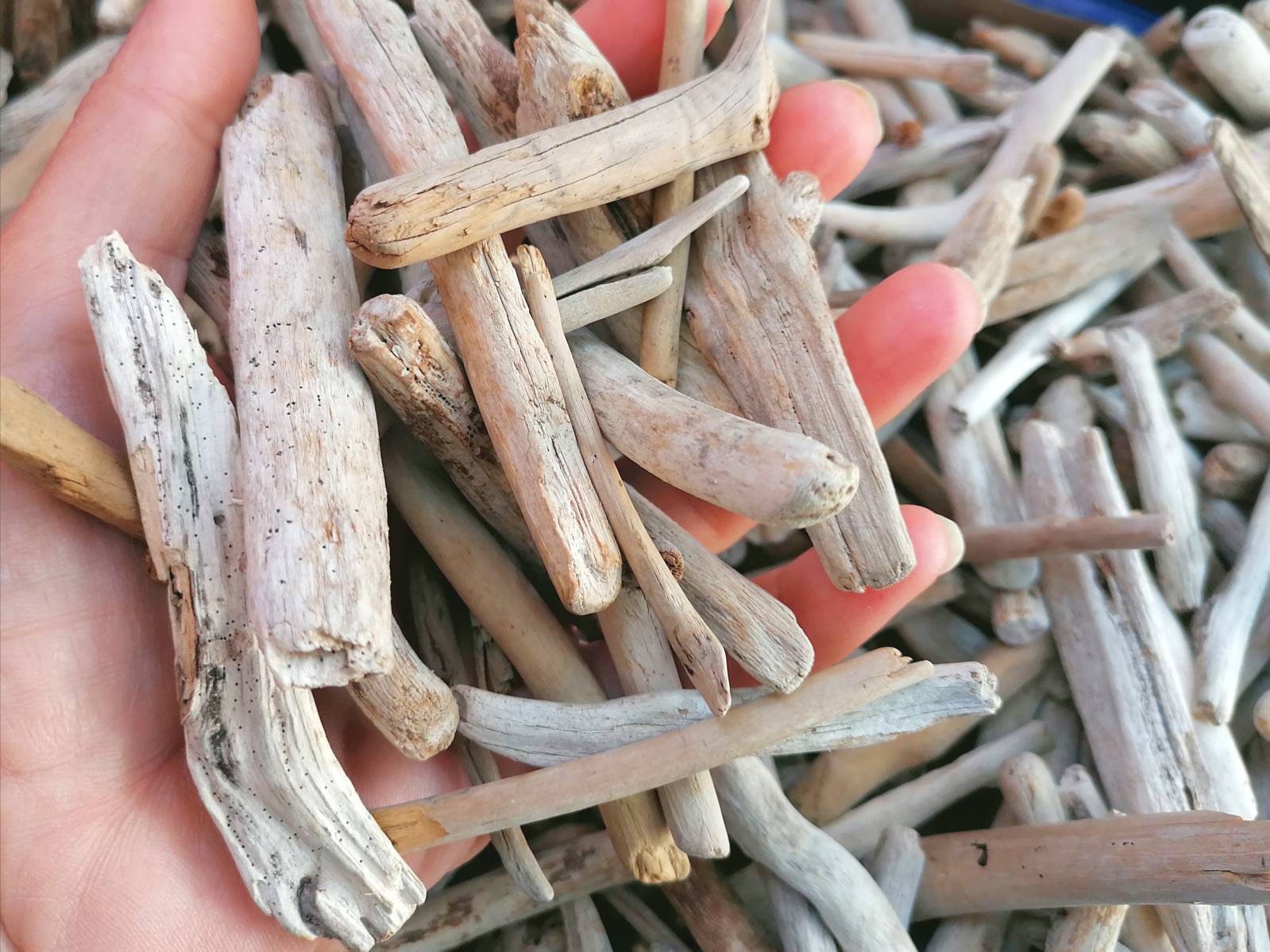 Small Driftwood for Crafts 80 Pcs Driftwood Pieces Bulk - Etsy