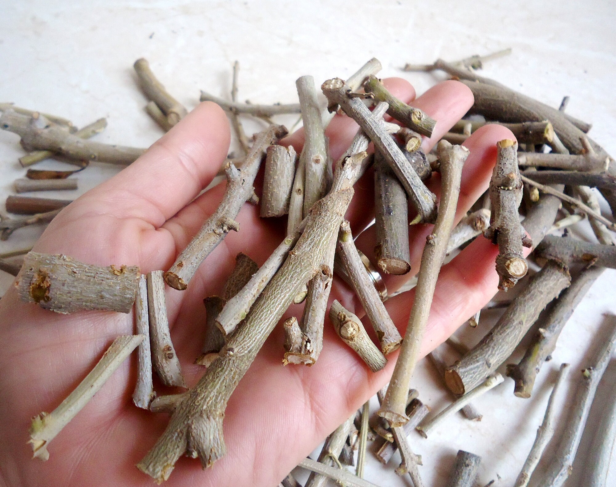 Craft Stick Pieces 100 Pcs Olive Wood Twig Pieces Bulk - Etsy