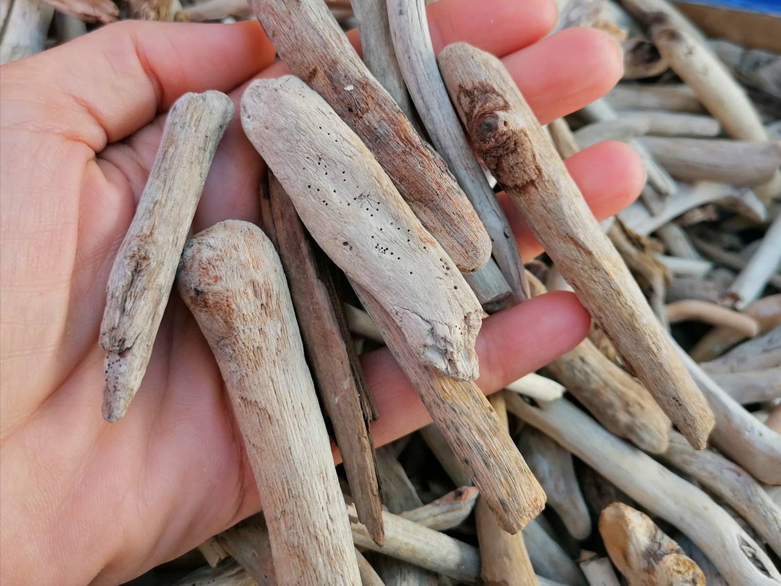 Small Driftwood for Crafts 80 Pcs Driftwood Pieces Bulk - Etsy