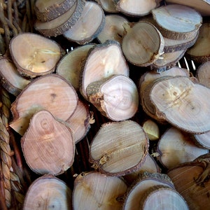 Wood Slices for Crafts, Lot 10/20 Pieces, Tree Branch Slices With Knots ...