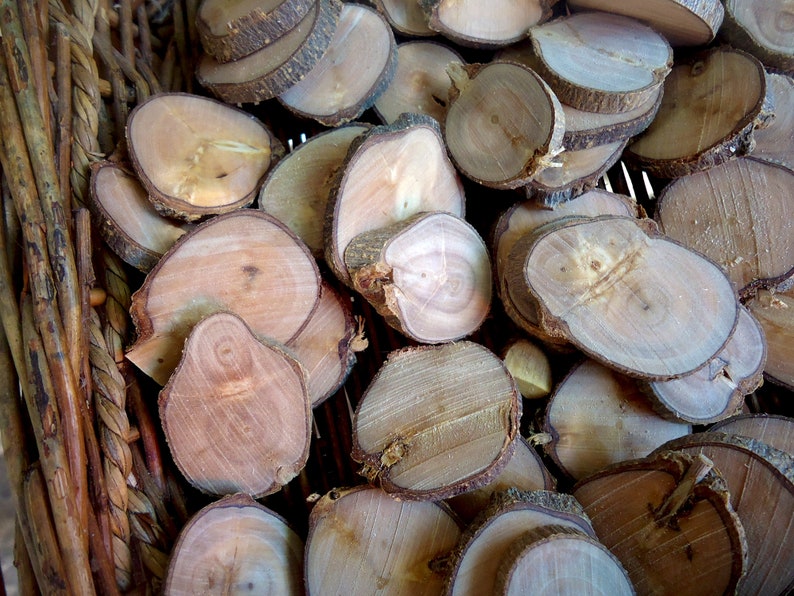 Wood Slices for Crafts Lot 10/20 Pieces Tree Branch Slices - Etsy