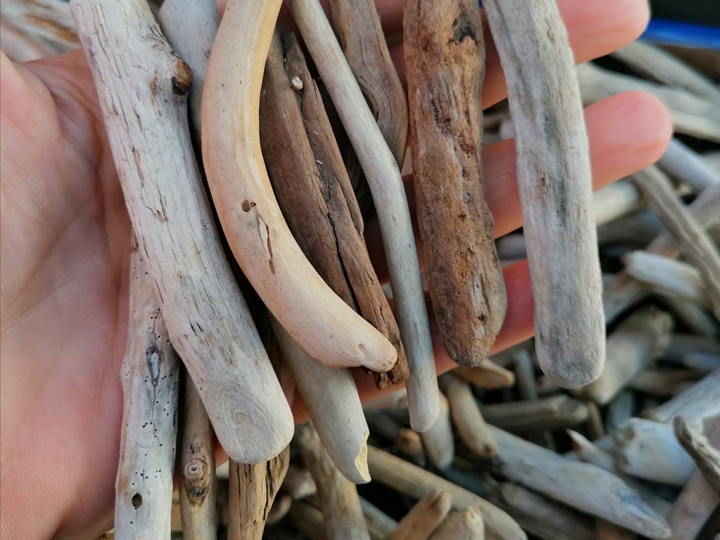 Small Driftwood for Crafts 80 Pcs Driftwood Pieces Bulk - Etsy