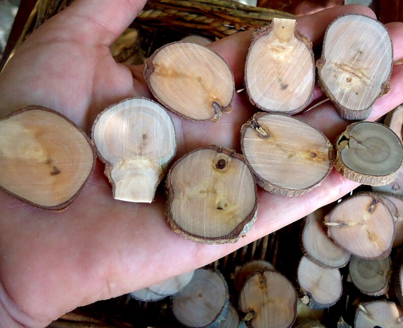Wood Slices for Crafts Lot 10/20 Pieces Tree Branch Slices - Etsy