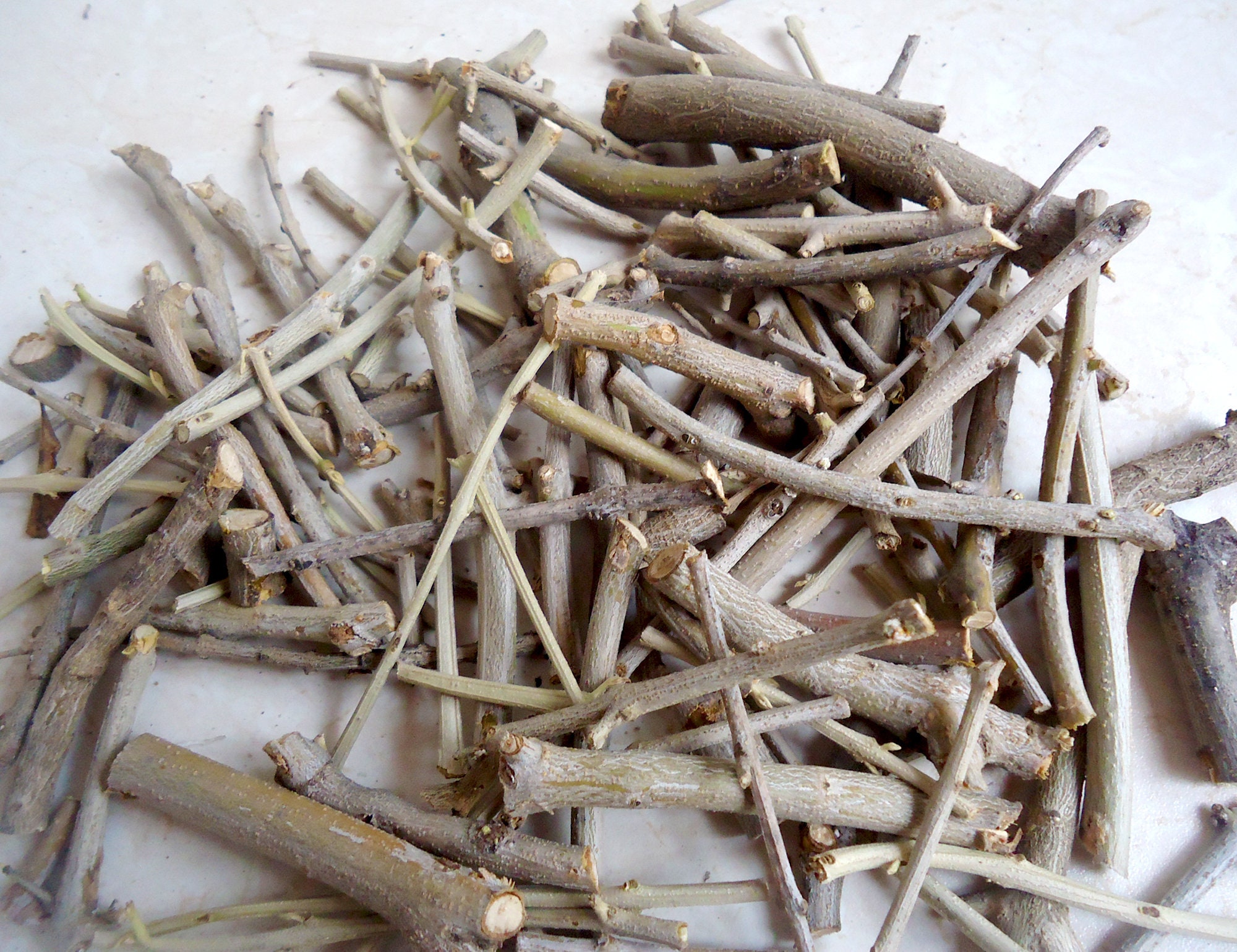 Craft Stick Pieces 100 Pcs Olive Wood Twig Pieces Bulk - Etsy