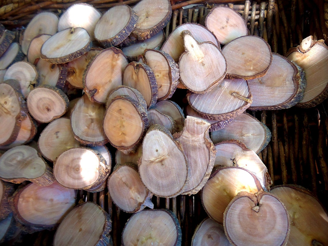 Wood Slices for Crafts Lot 10/20 Pieces Tree Branch Slices - Etsy