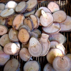Wood Slices for Crafts, Lot 10/20 Pieces, Tree Branch Slices With Knots ...